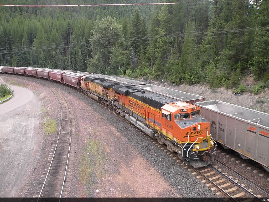 Yet another grain train passes the stopped coal drag.